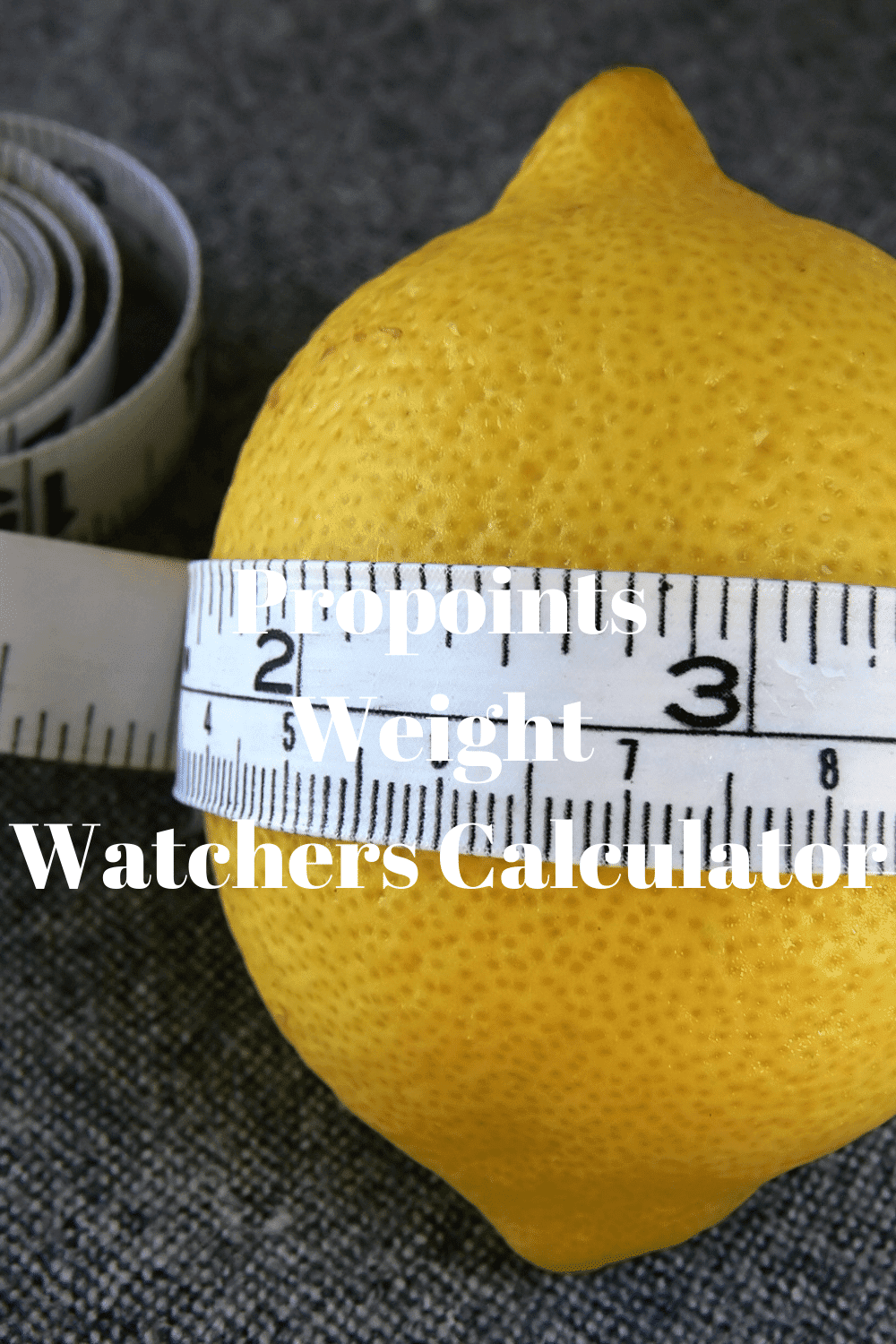 Propoints Weight Watchers Calculator - Easy Rapid Calcs