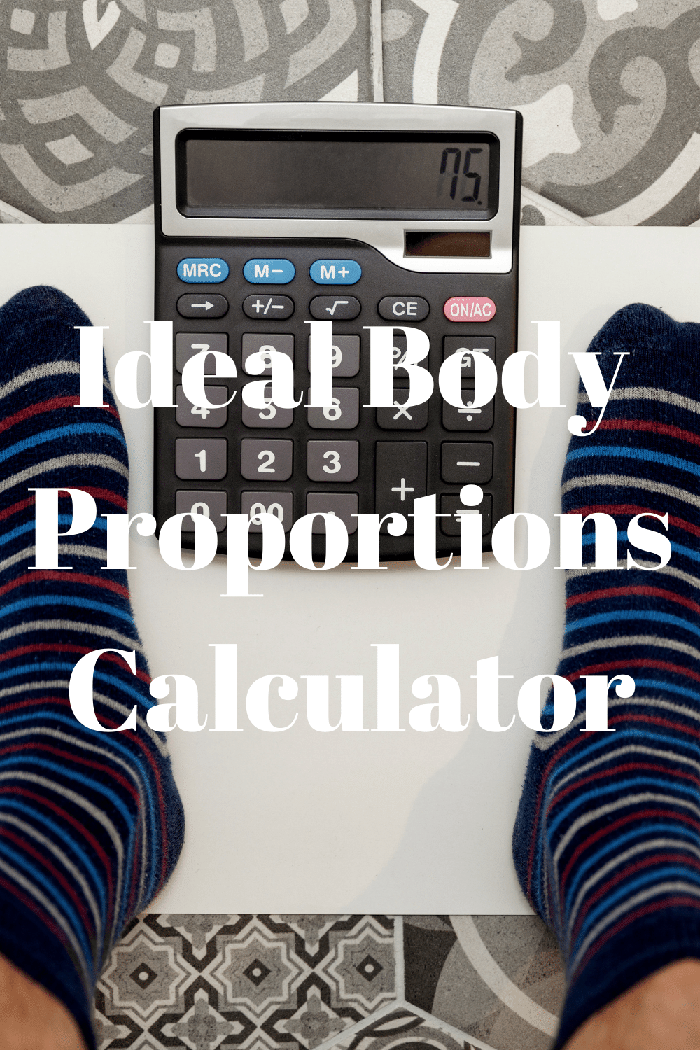 Ideal Body Proportions Calculator - Easy Rapid Calcs