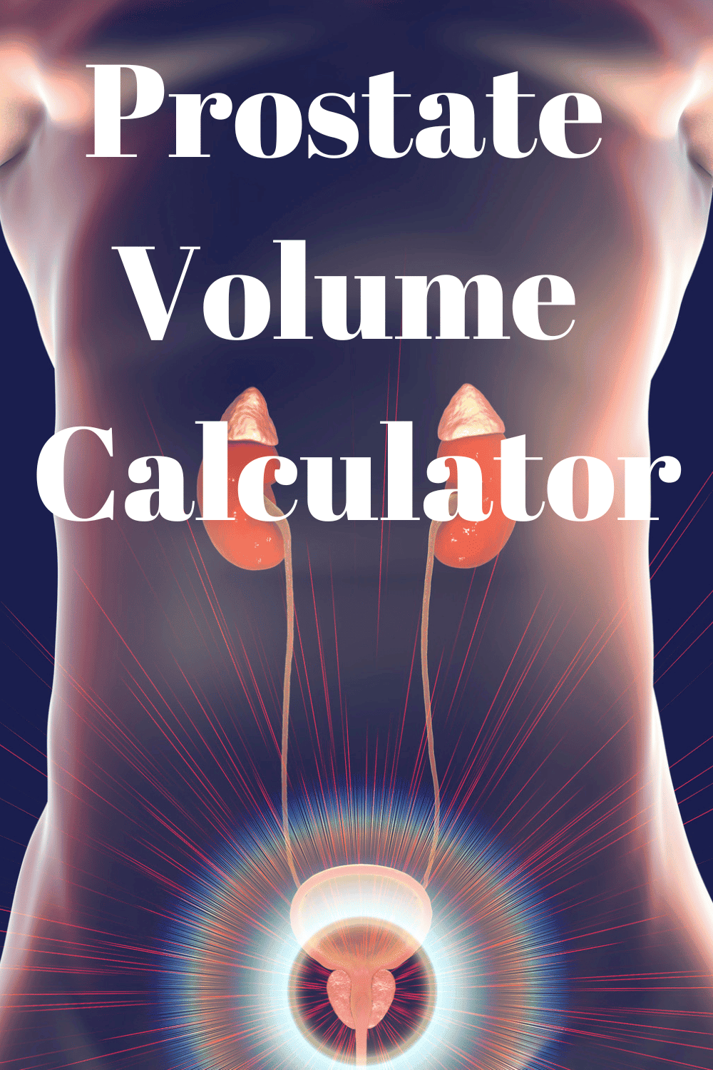 Prostate Volume Calculator - Easy Rapid Calcs