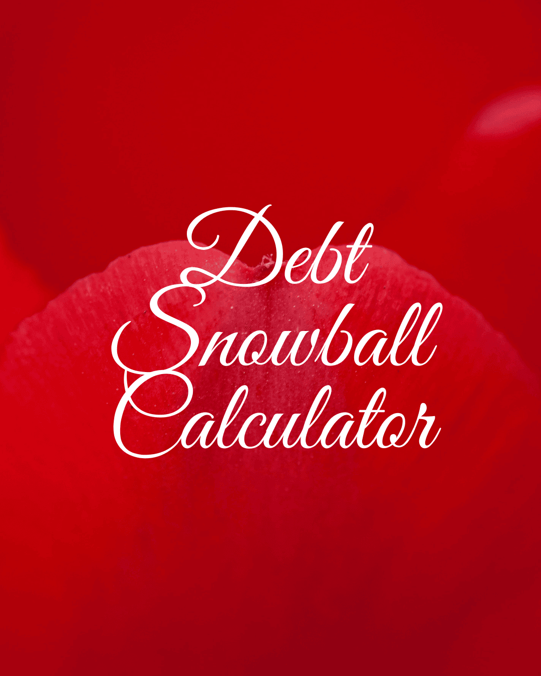 Debt Snowball Calculator - Easy Rapid Calcs