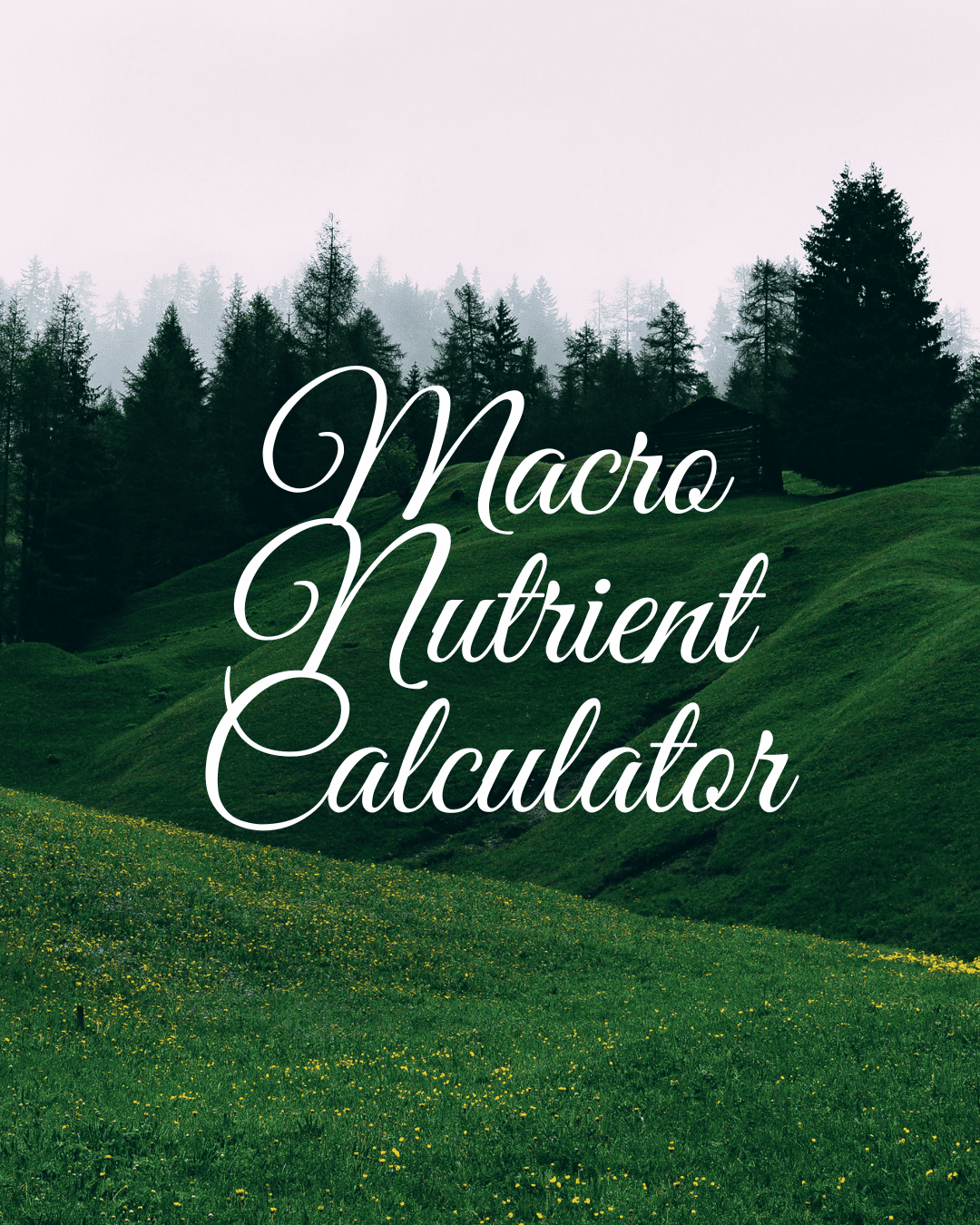 Macro Nutrient Calculator - Easy Rapid Calcs