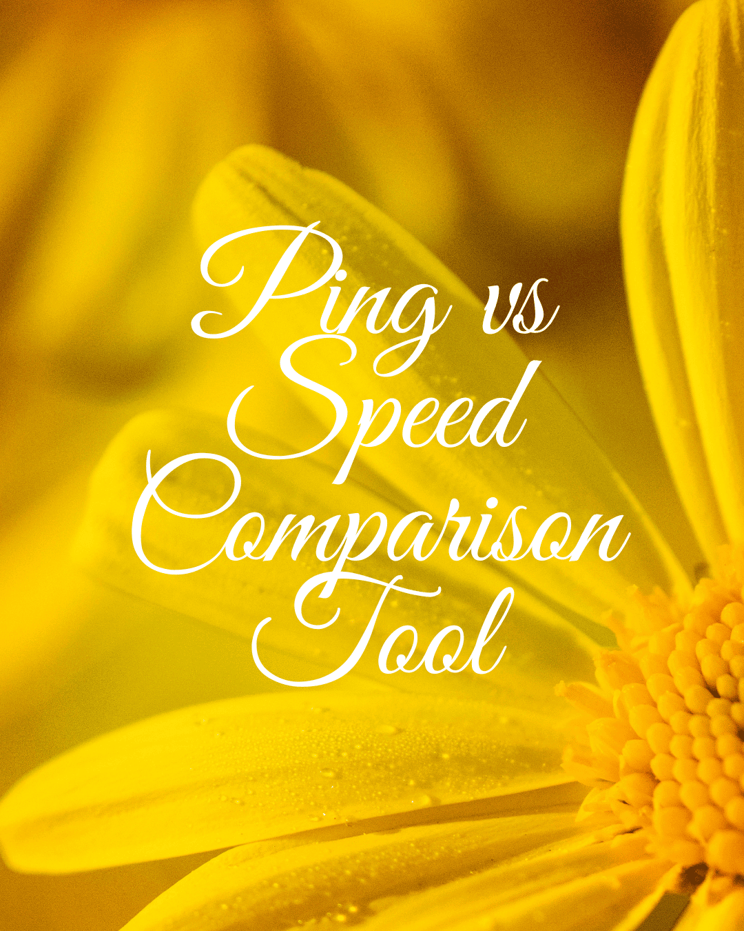 Ping vs Speed Comparison Tool - Easy Rapid Calcs